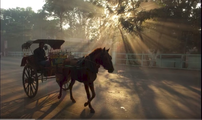 How To Use Natural Light, Short Tutorial By National Geographic Photog