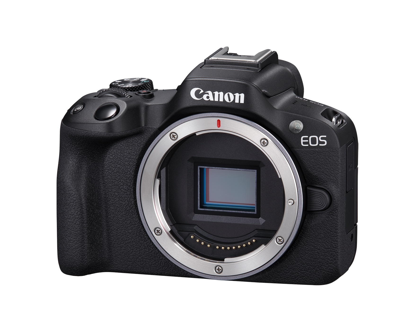 Canon EOS R50 Hands on Review is It Replacing The EOS M50 Canon EOS R50 Hands on Review is It Replacing The EOS M50